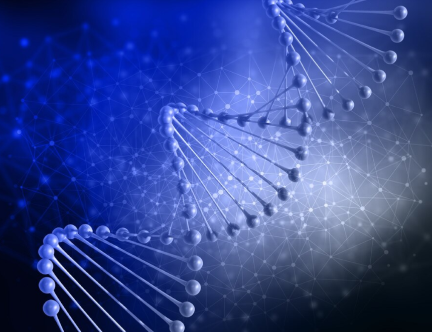 Российские ученые запатентовали алгоритм обследования на азооспермию ...